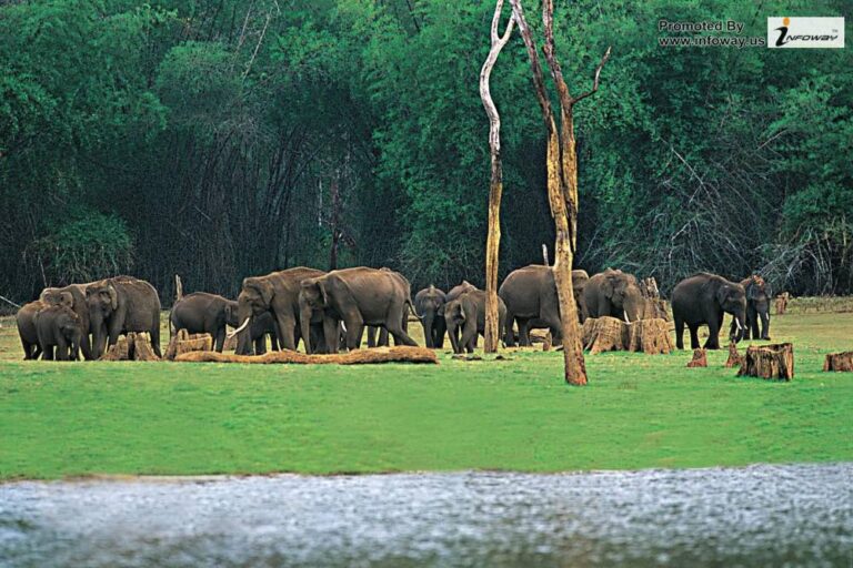 Top 10 Best Places to visit in Kanthalloor - mountainsmoto.com